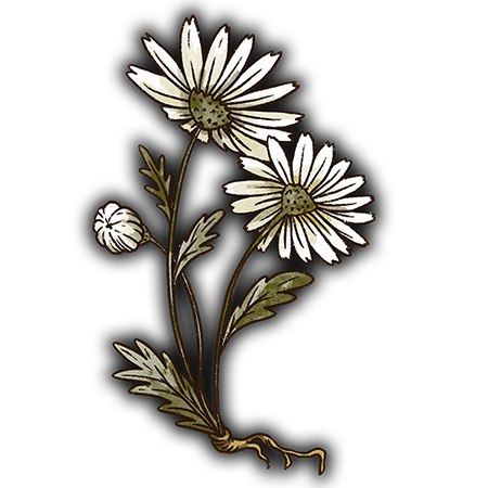 PENDULUMS || RAINBOW FLUORITE – The Rockin Cauldron